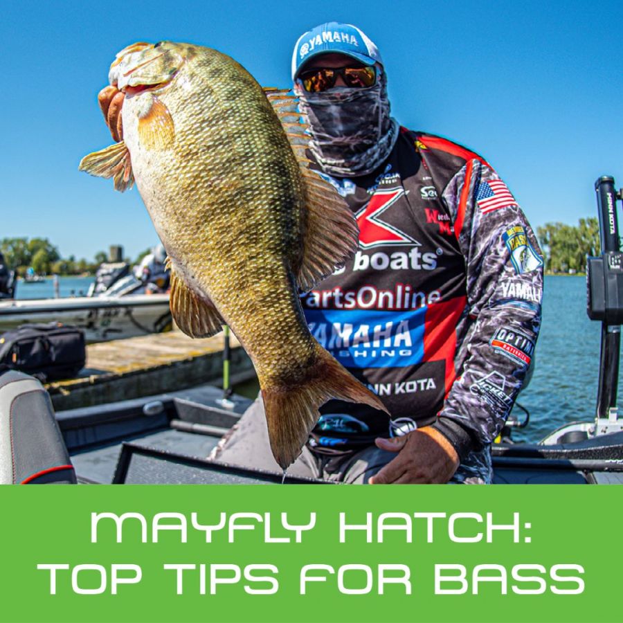 Best Baits and Technique For Bass In Mayfly Hatch : Bill Lowen | RAILBLAZA Canada